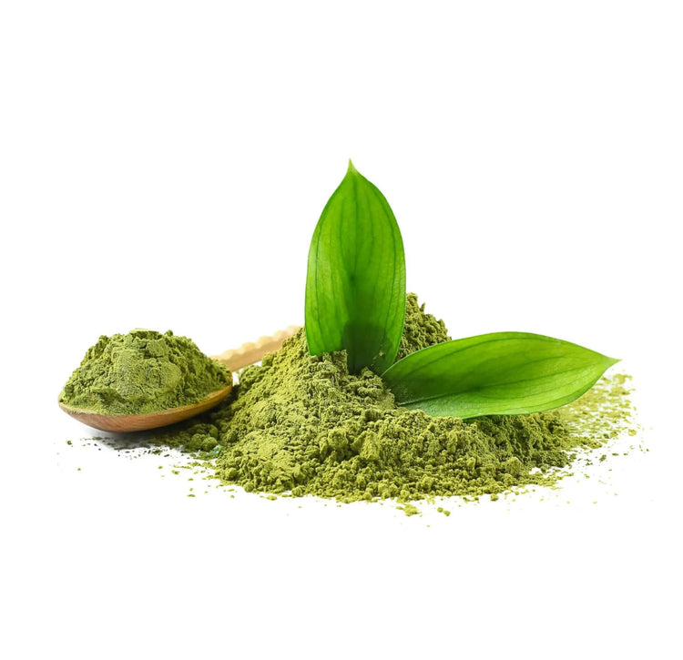 Unveiling the Colors of Matcha: From Lively Greens to Subtle Hues ...